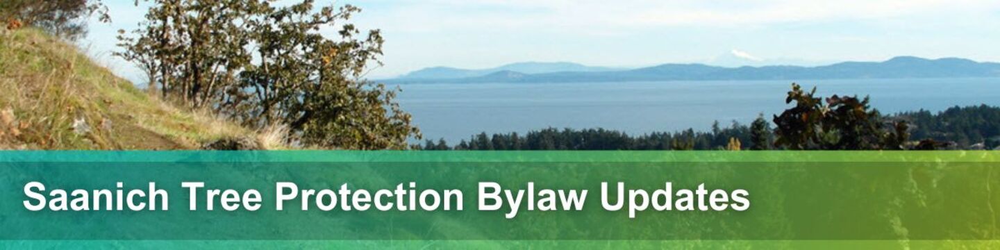Project: Saanich Tree Protection Bylaw Updates | The District of Saanich